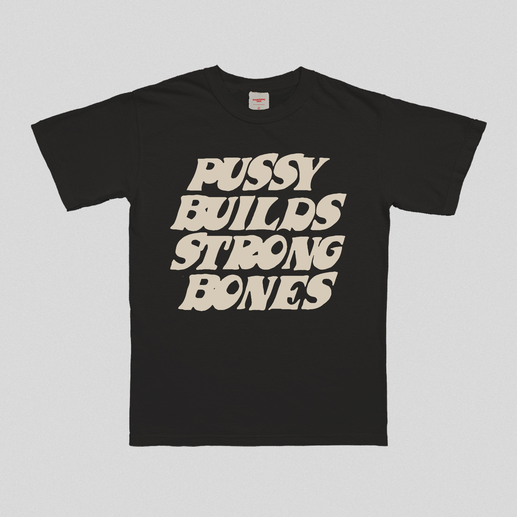 Pussy Builds Strong Bones T-shirt - Etsy