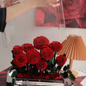 Preserved Flower Big Roses Prince Garden Eternal Love - Etsy