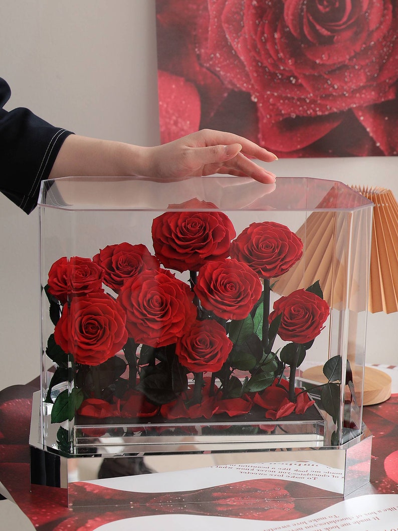 Preserved Flower Big Roses Prince Garden Eternal Love - Etsy