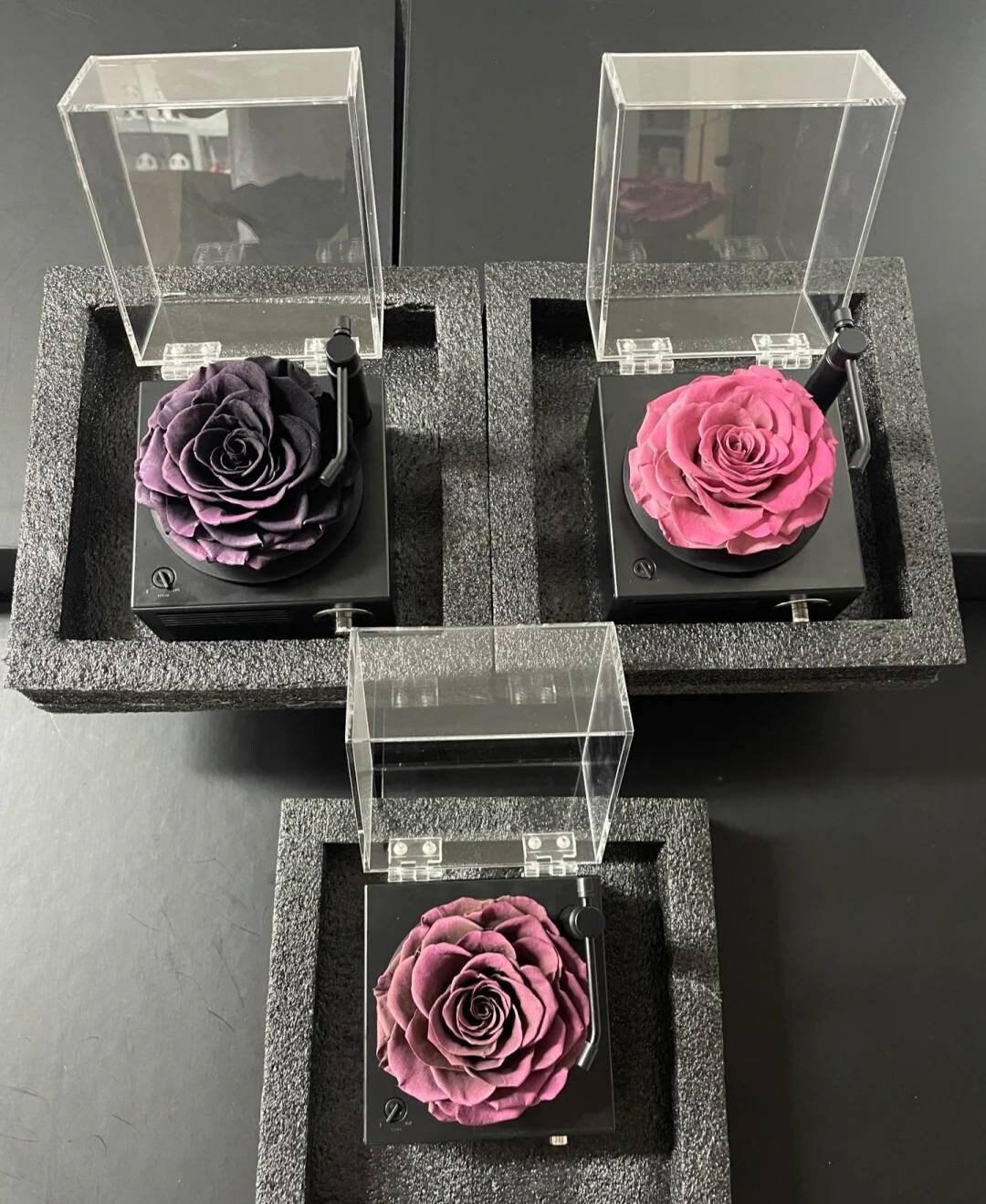 Preserved Rose Mini Music Record Player - Etsy