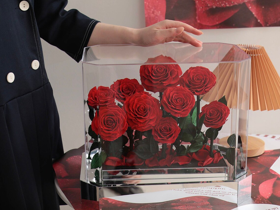 Preserved Flower Big Roses Prince Garden Eternal Love - Etsy