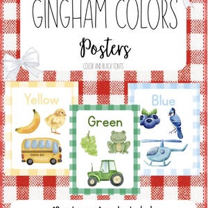 Gingham Colors Posters With Watercolor Images | 12 Colors | Classroom ...