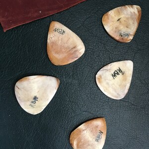 Turtle Shell Guitar Pick - Etsy