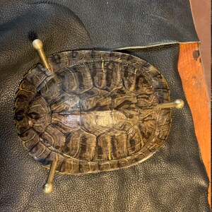 3 Leg Turtle Shell Bowls - Etsy