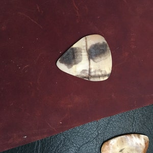 Turtle Shell Guitar Pick - Etsy