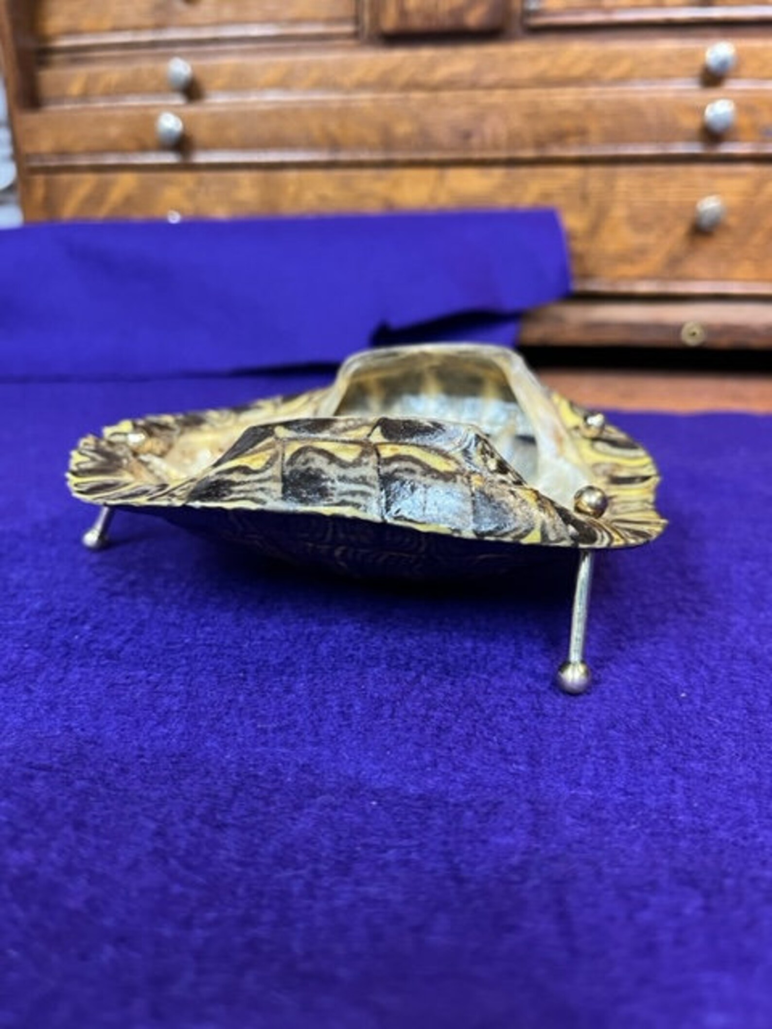 Turtle Shell Bowl, 3 legs - Etsy