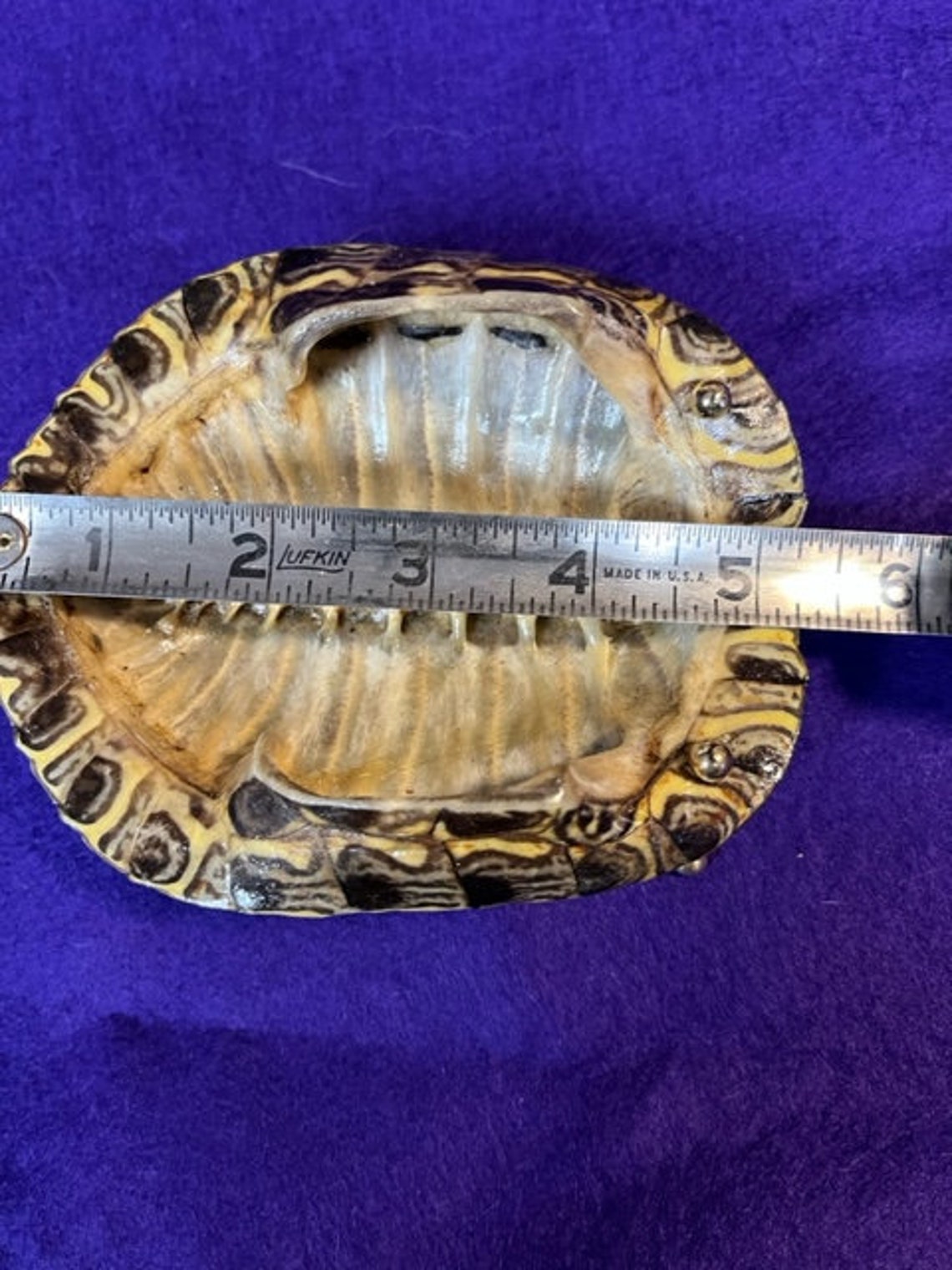 Turtle Shell Bowl, 3 legs - Etsy