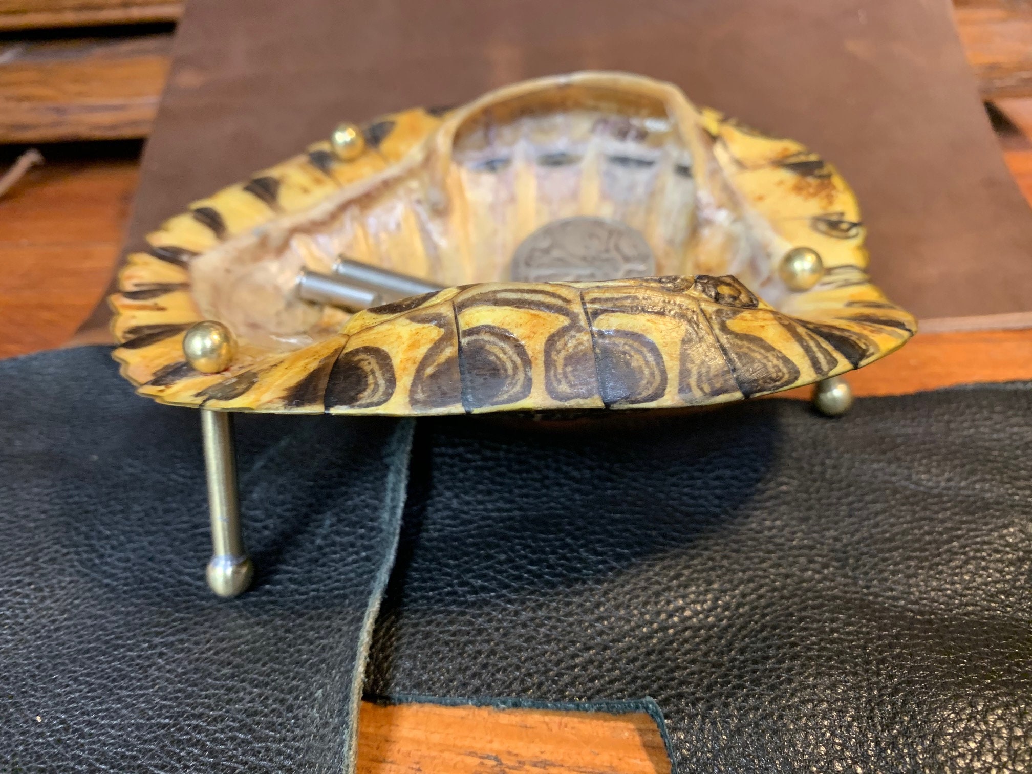 3 Leg Turtle Shell Bowls - Etsy