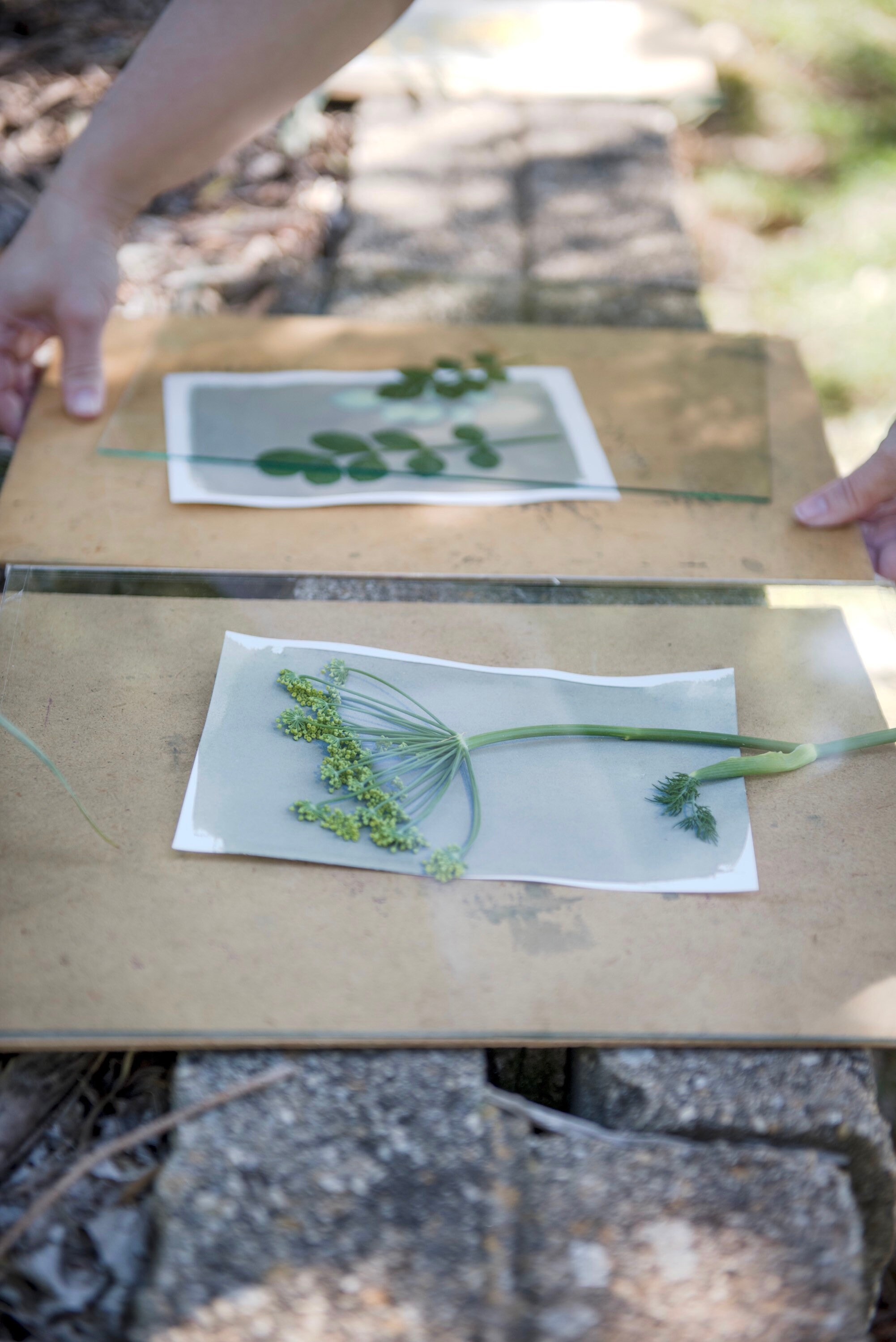 DIY Cyanotype Kit - Etsy