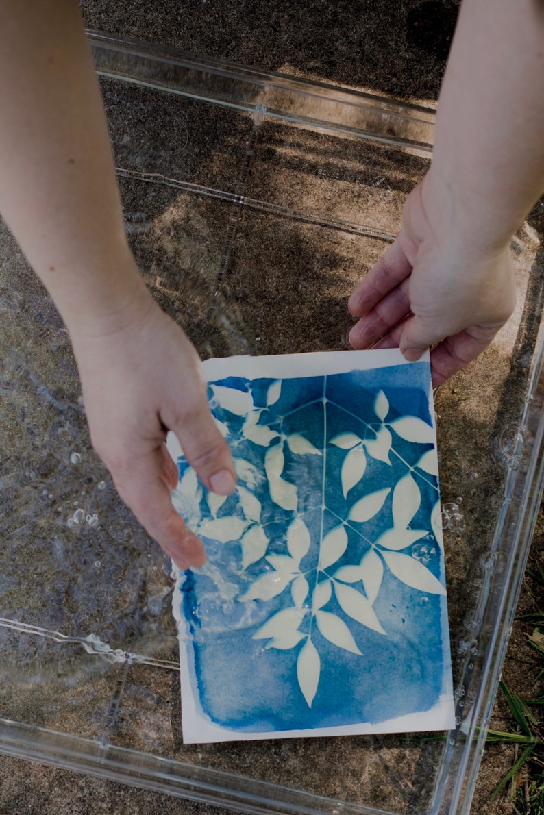 DIY Cyanotype Kit - Etsy