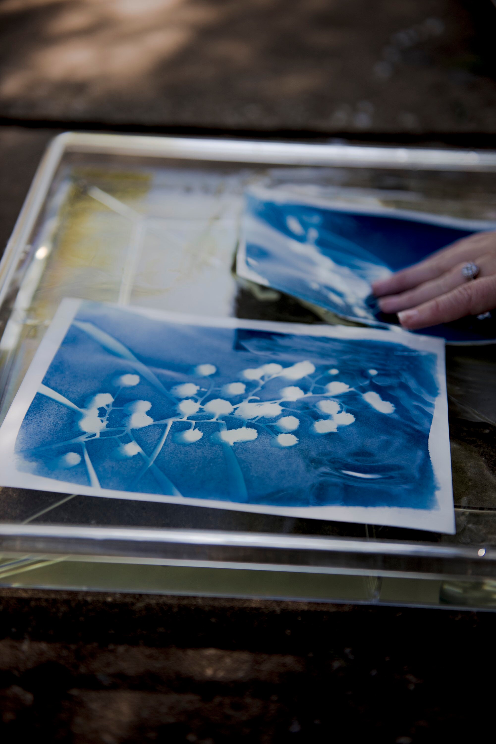 DIY Cyanotype Kit - Etsy