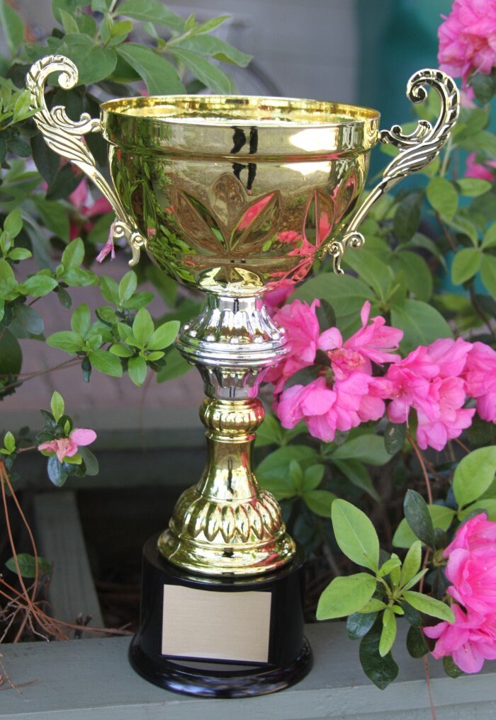 Trophy Cup,personalized Trophy Cup,engraved Trophy Cup,metal Trophy Cup ...