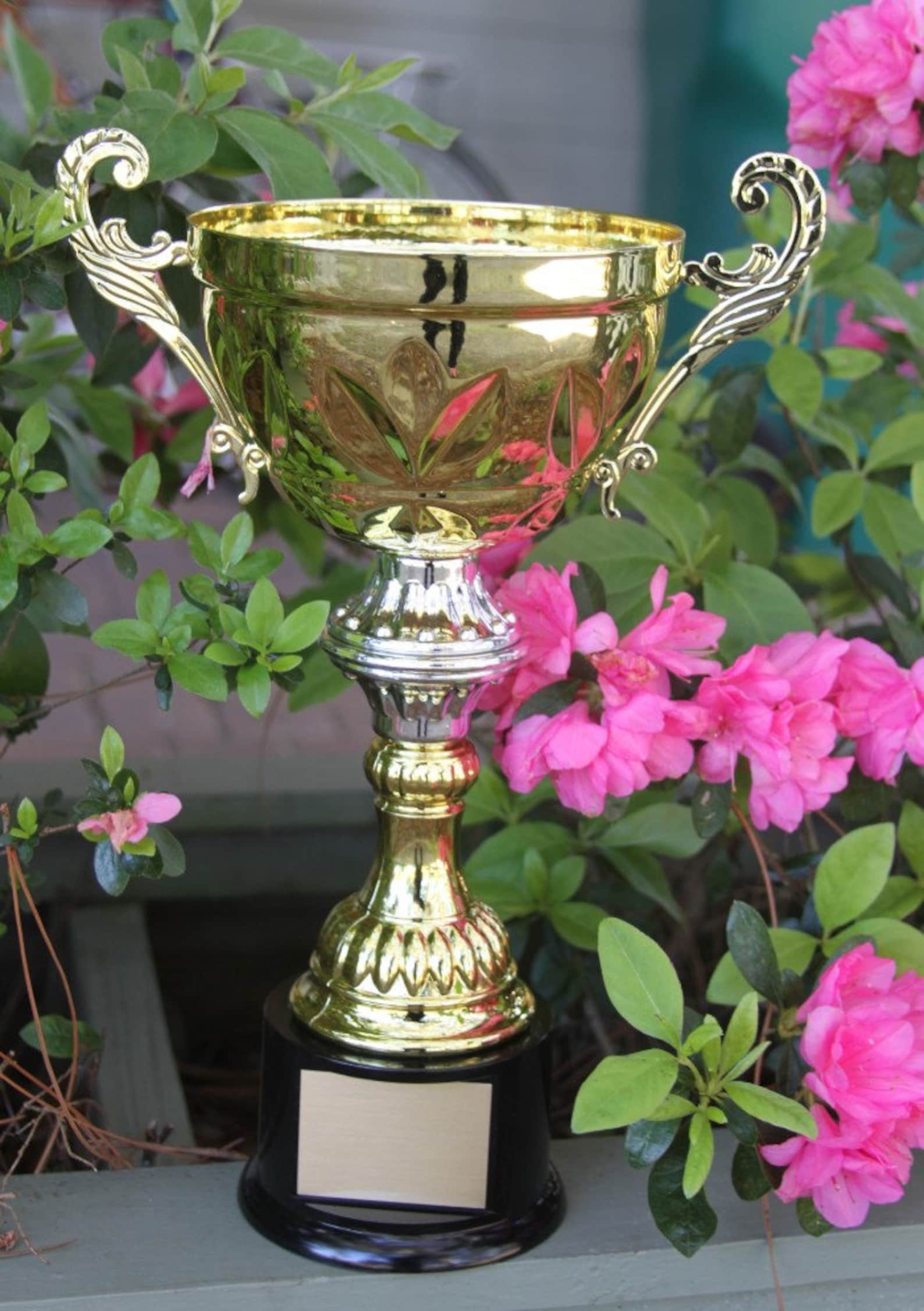 Trophy Cup,personalized Trophy Cup,engraved Trophy Cup,metal Trophy Cup ...