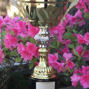 Trophy Cup,personalized Trophy Cup,engraved Trophy Cup,metal Trophy Cup ...
