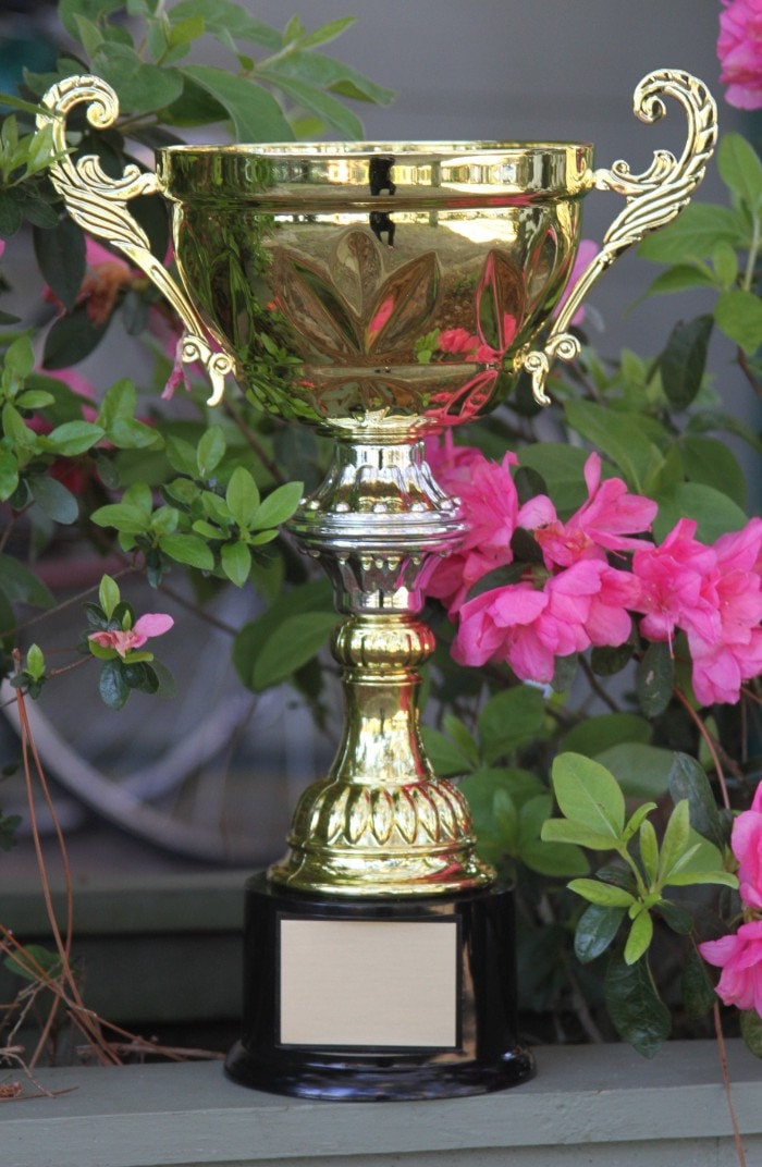 Trophy Cup,personalized Trophy Cup,engraved Trophy Cup,metal Trophy Cup ...