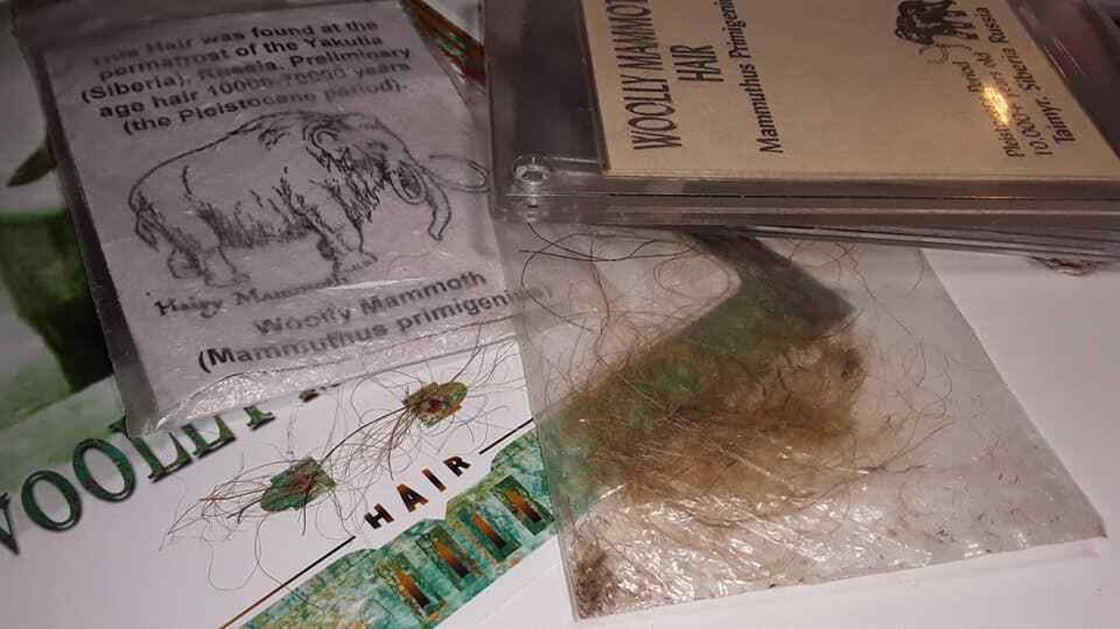 Woolly Mammoth HAIR - Etsy