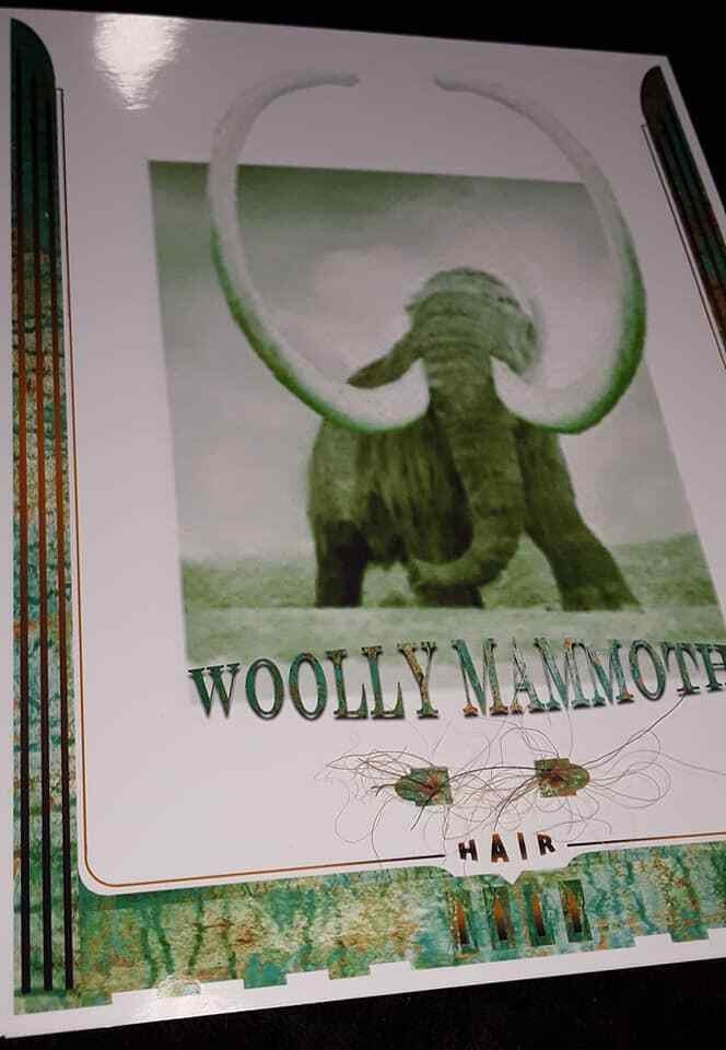 Woolly Mammoth HAIR - Etsy