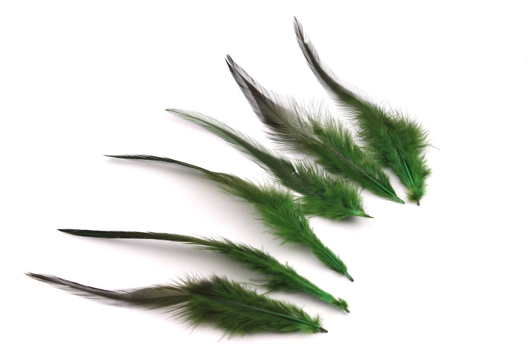 Fluffy Rooster Feather - Green Plumage - (12-15cm) - Real Feathers for ...
