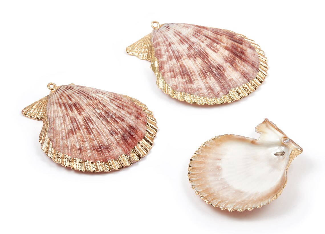 Mussel Shell Charms - Seashell Pendant - Gold Tone Plated Earrings - 1 ...