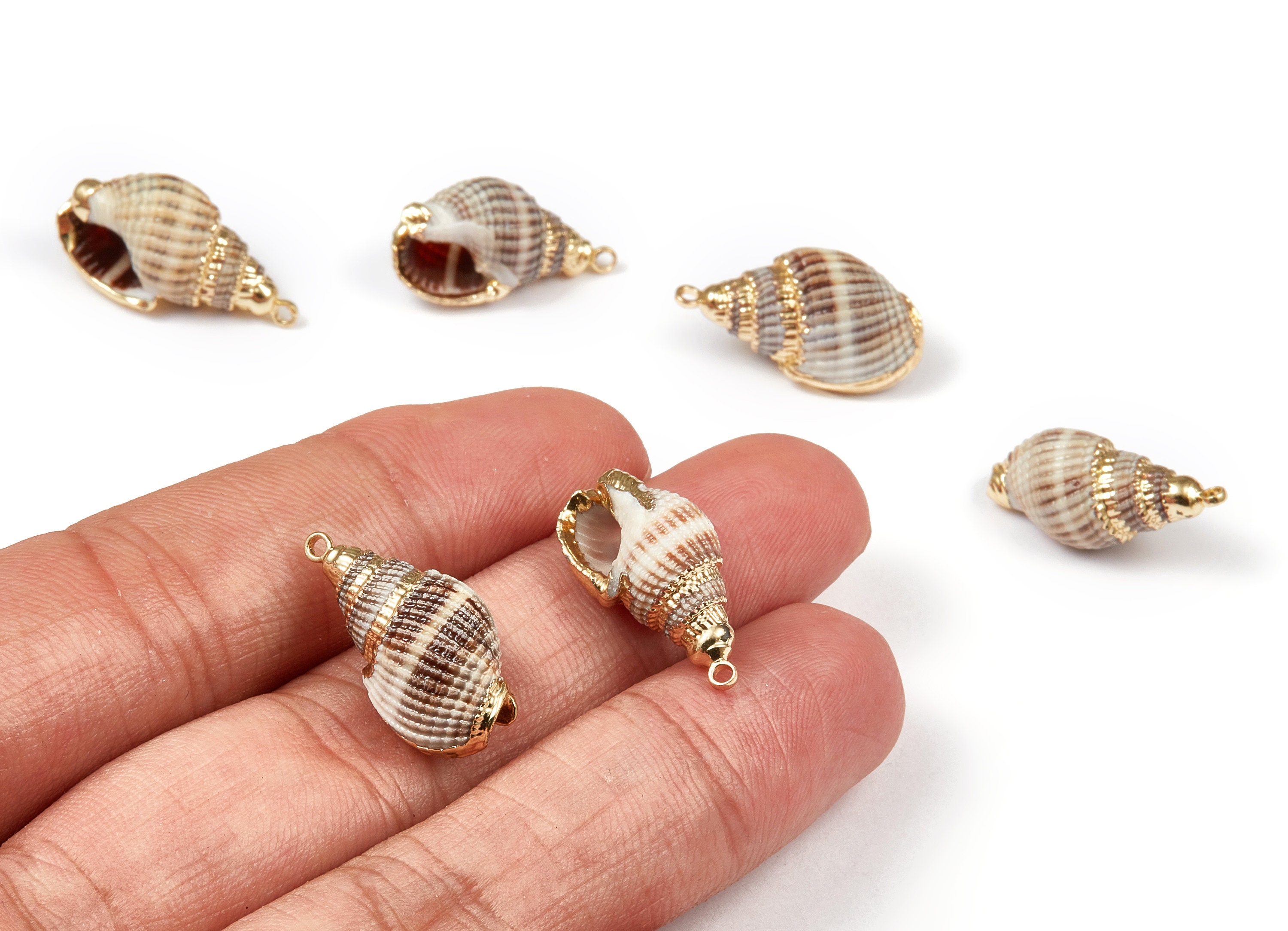 Whelk Seashell Charms Whelk Shell Pendant Natural Seashell | Etsy