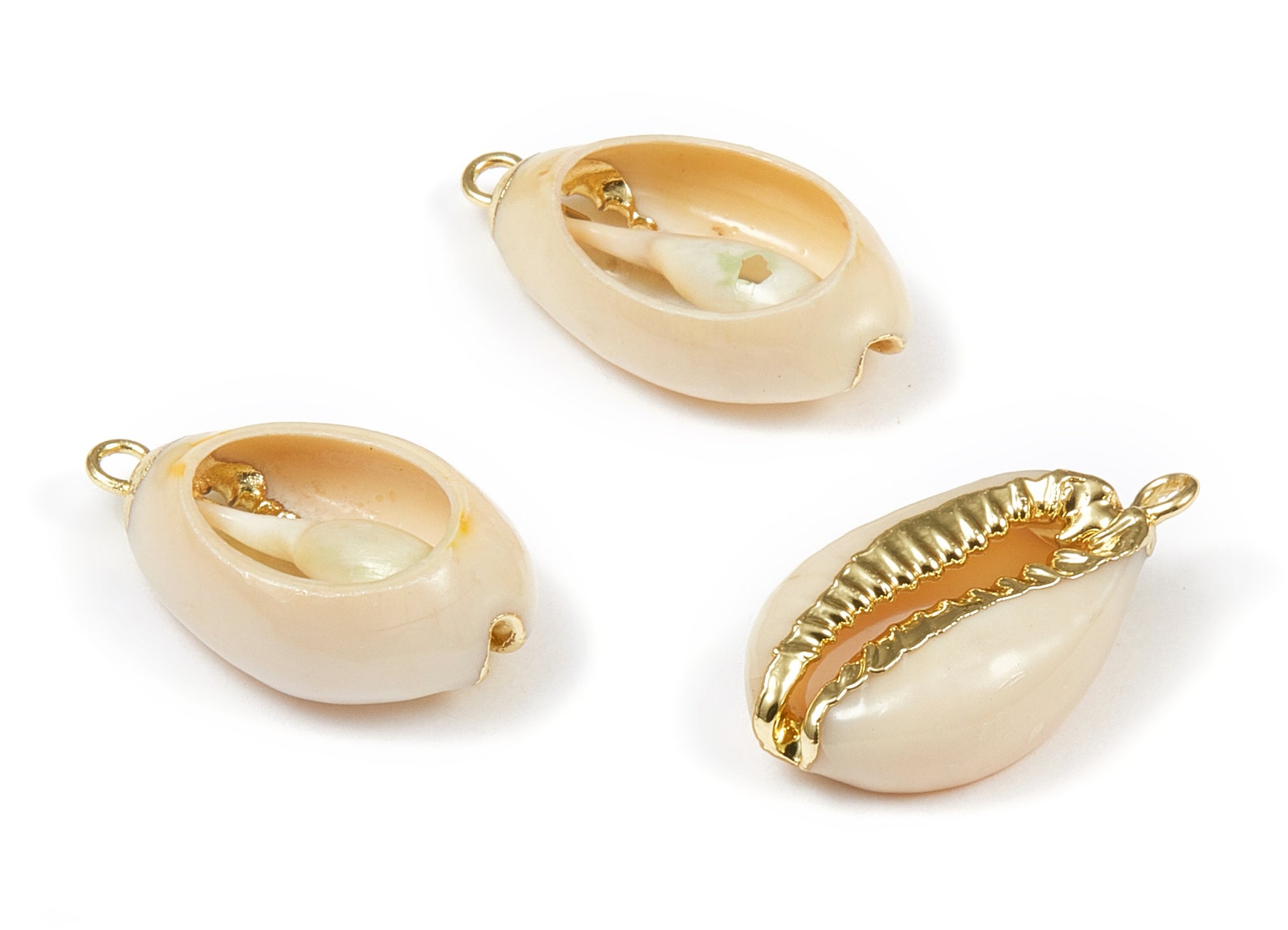 Open Cowrie Charms - Cut Open Cowrie Seashell Earrings and Pendant ...