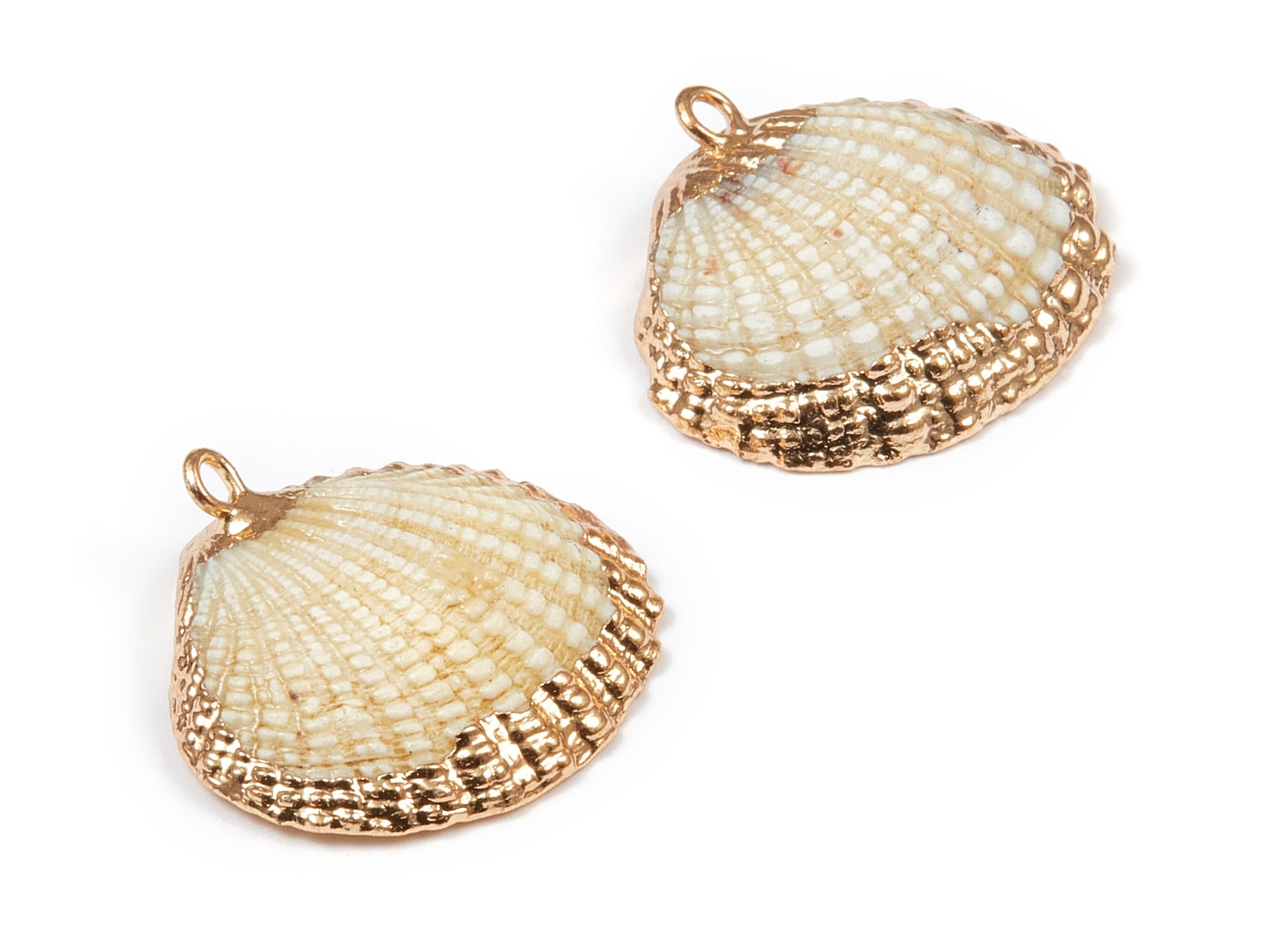 Mussel Shell Charms Seashell Earrings and Pendant Gold | Etsy