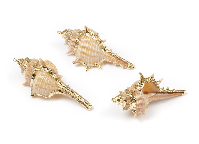 Cone Shell Charms Whelk Seashell Pendant Gold Tone Plated | Etsy