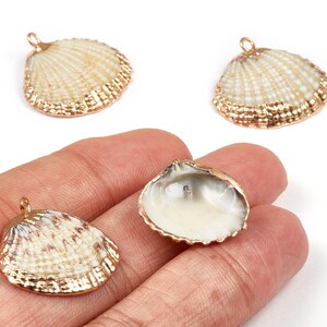 Mussel Shell Charms - Seashell Earrings and Pendant - Gold Tone Plated ...