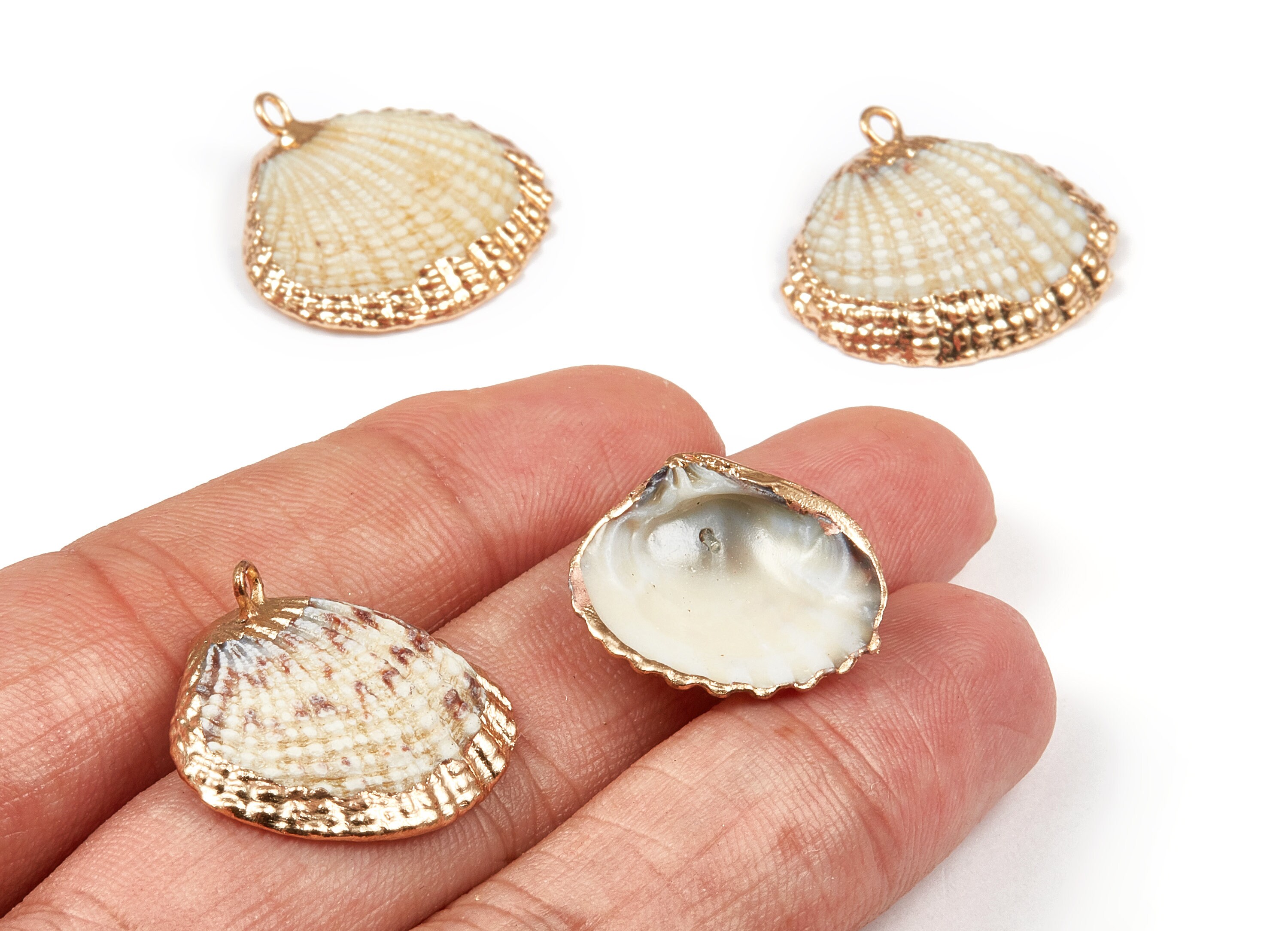 Mussel Shell Charms Seashell Earrings and Pendant Gold | Etsy