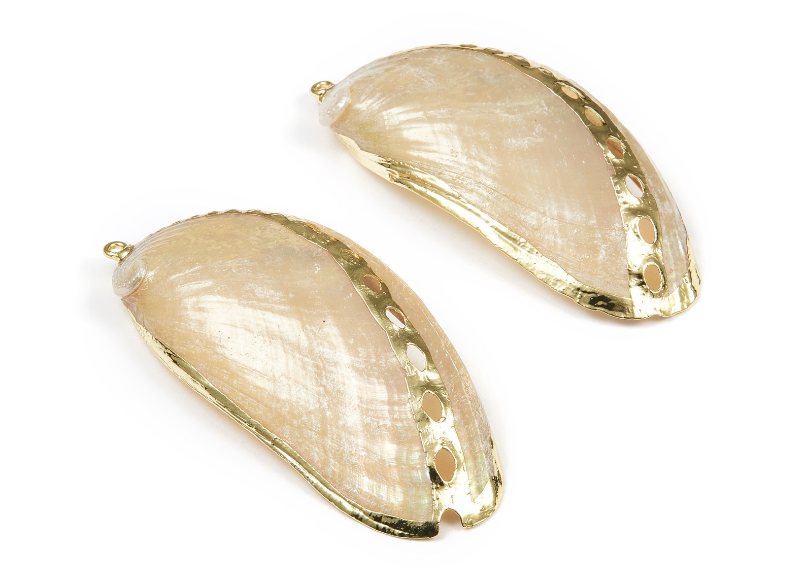 Mussel Shell Charms - Seashell Pendant - Gold Tone Plated Earrings ...