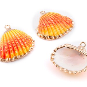 Mussel Shell Charms - Seashell Earrings and Pendant - Gold Tone Plated ...