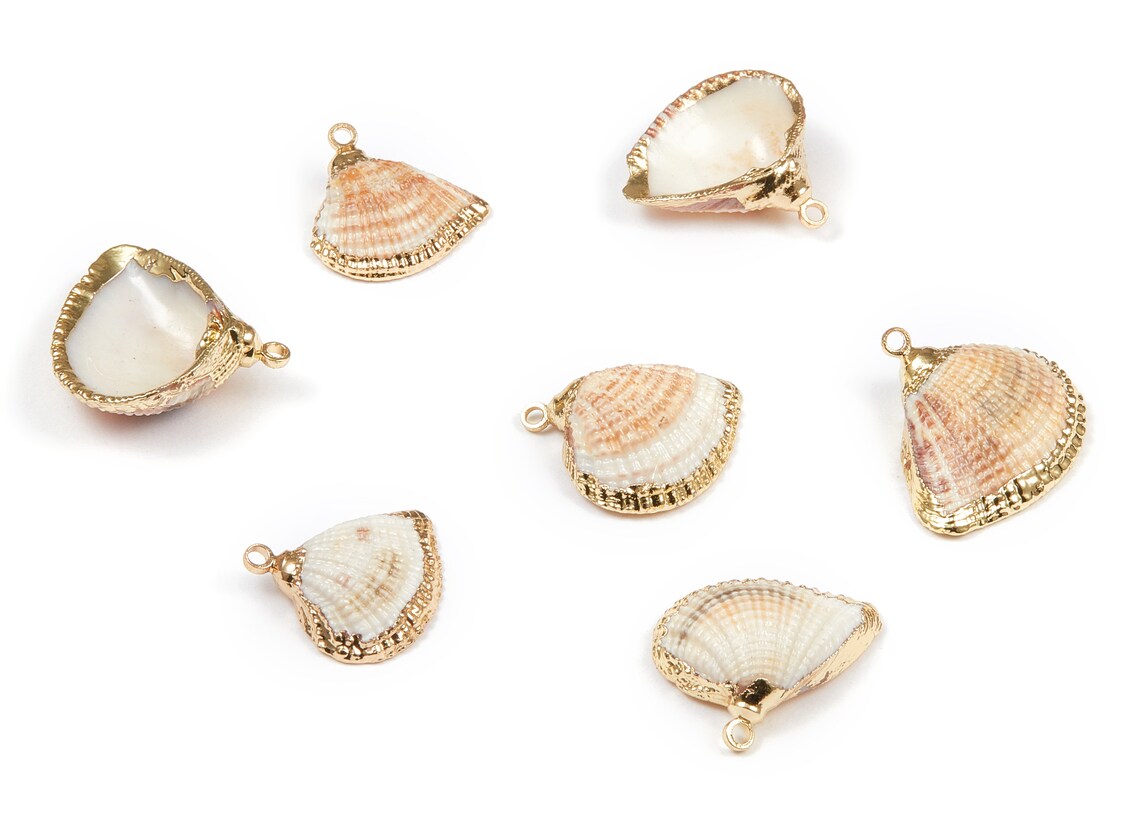 Mussel Shell Charms - Seashell Earrings and Pendant - Gold Tone Plated ...