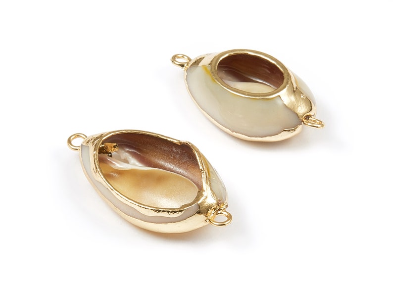 Open Cowrie Connectors Cut Open Mussel Seashell Pendant - Etsy