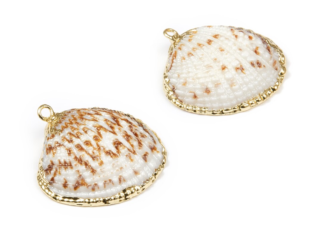 Mussel Shell Charms - Seashell Earrings and Pendant - Gold Tone Plated ...
