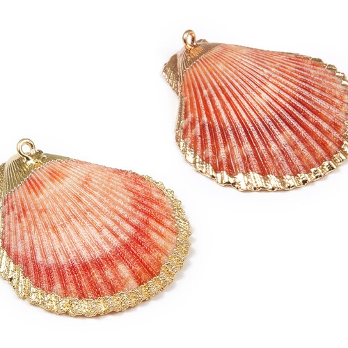 Mussel Shell Charms Seashell Earrings and Pendant Gold - Etsy