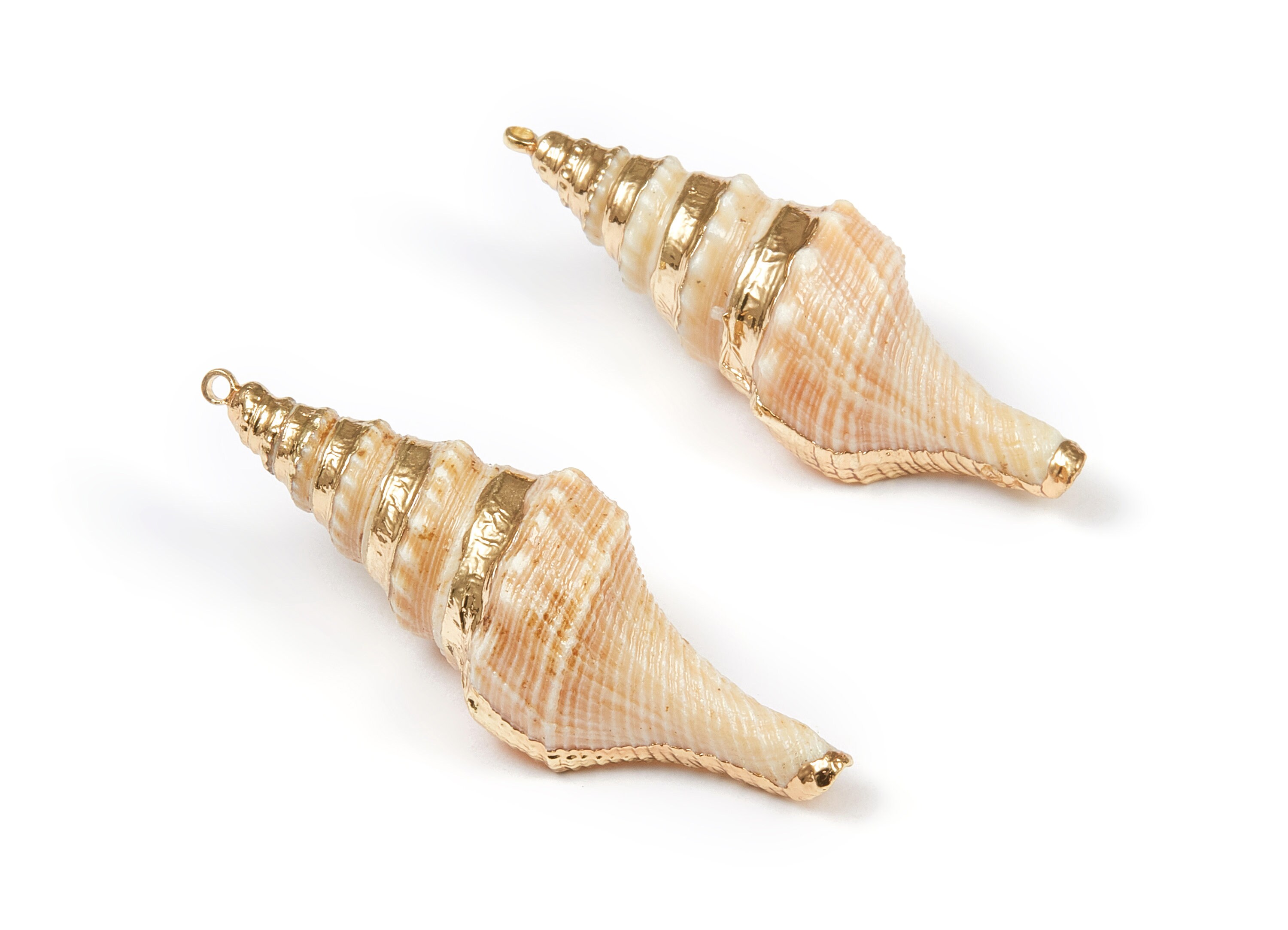 Whelk Seashell Charms Whelk Shell Pendant Natural Seashell | Etsy