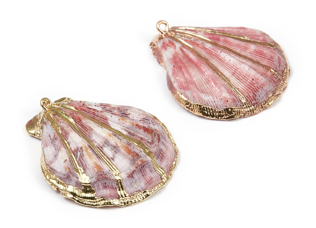 Mussel Shell Charms - Seashell Earrings and Pendant - Gold Tone Plated ...