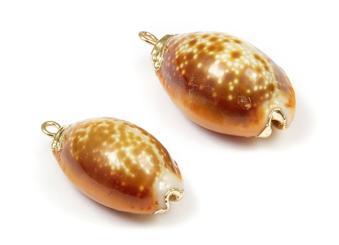 Whelk Seashell Charms - Whelk Shell Pendant - Natural Seashell Earrings ...