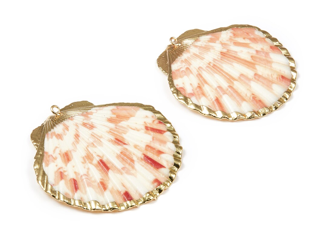 Mussel Shell Charms - Seashell Earrings and Pendant - Gold Tone Plated ...