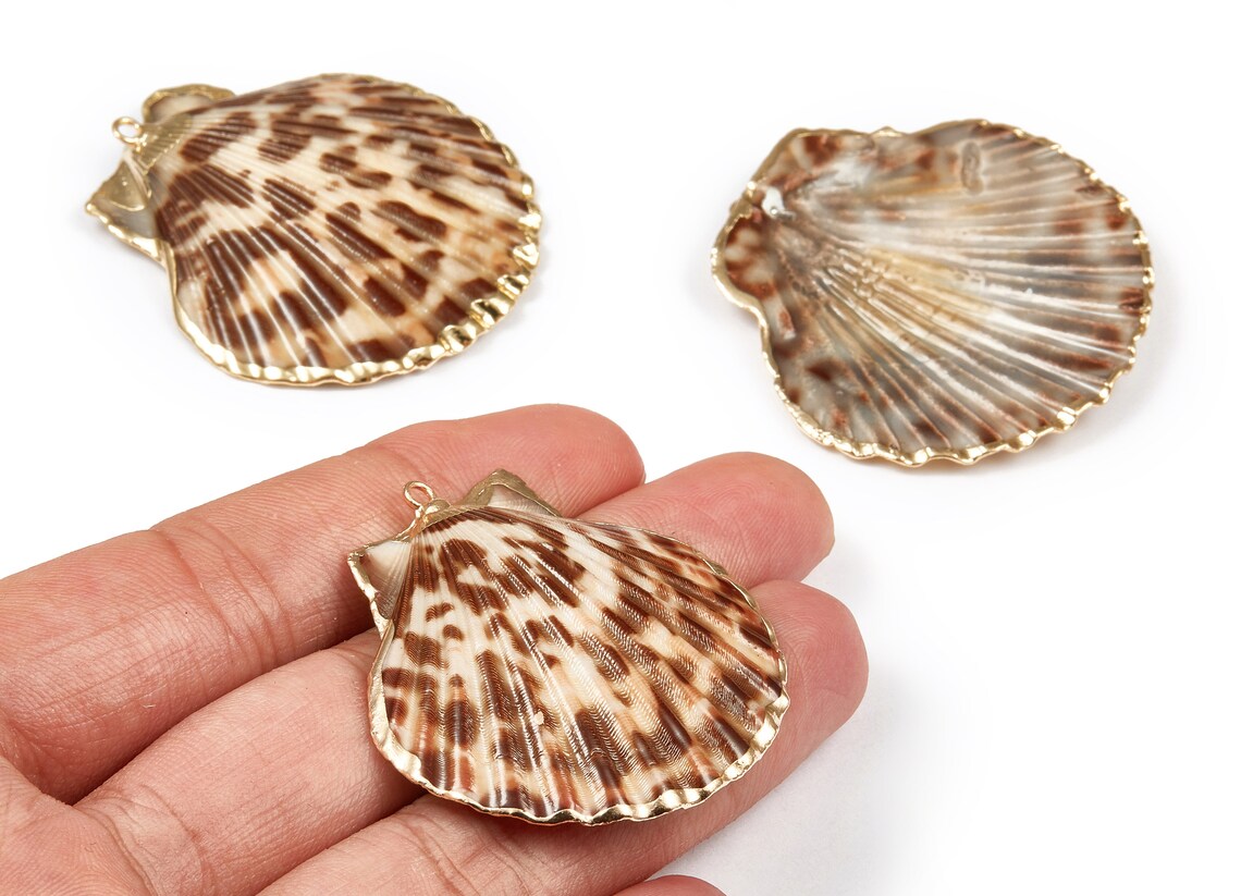 Mussel Shell Charms Seashell Earrings and Pendant Gold - Etsy