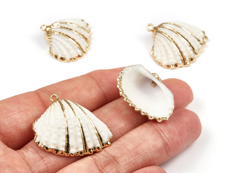 Mussel Shell Charms - Seashell Earrings and Pendant - Gold Tone Plated ...