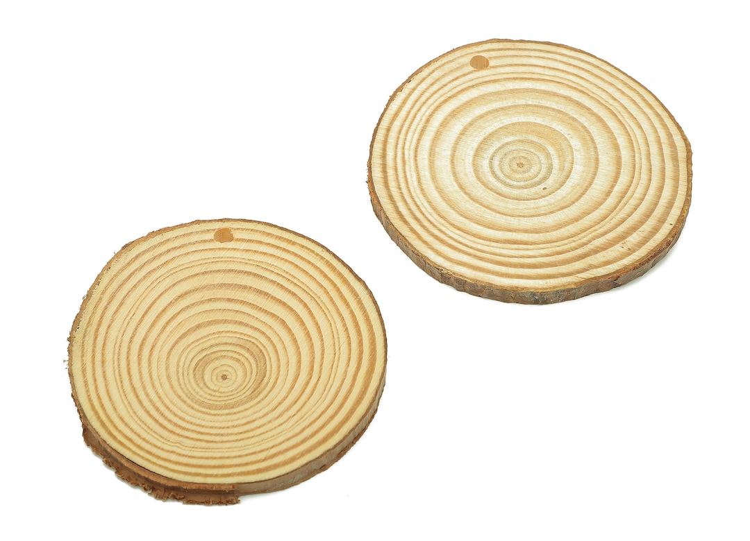 Pine Wood Slices Discs Earrings - Circles Natural Wood Bark Charm ...
