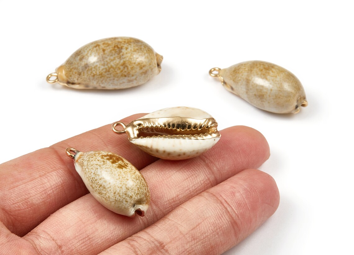 Cowrie Seashell Charms Mussel Shell Earrings and Pendant | Etsy