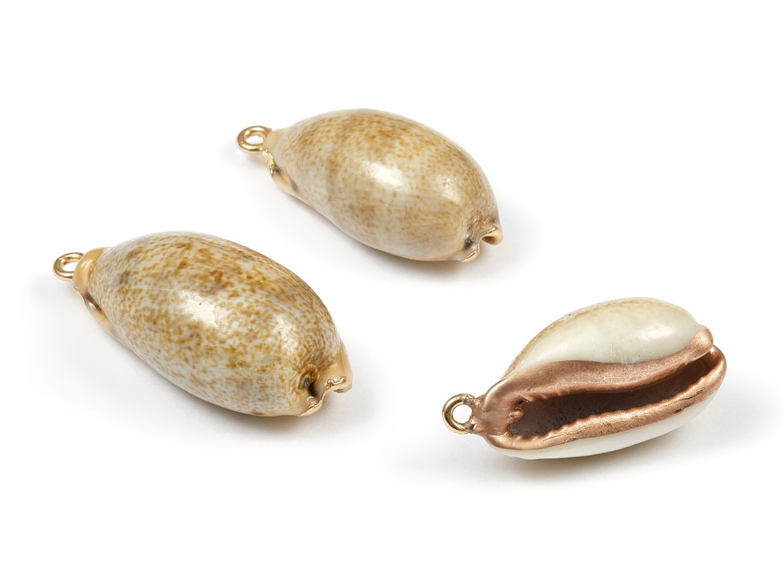 Cowrie Seashell Charms Mussel Shell Earrings and Pendant | Etsy
