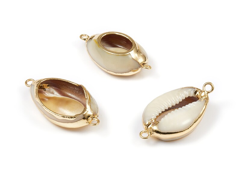 Open Cowrie Connectors Cut Open Mussel Seashell Pendant - Etsy