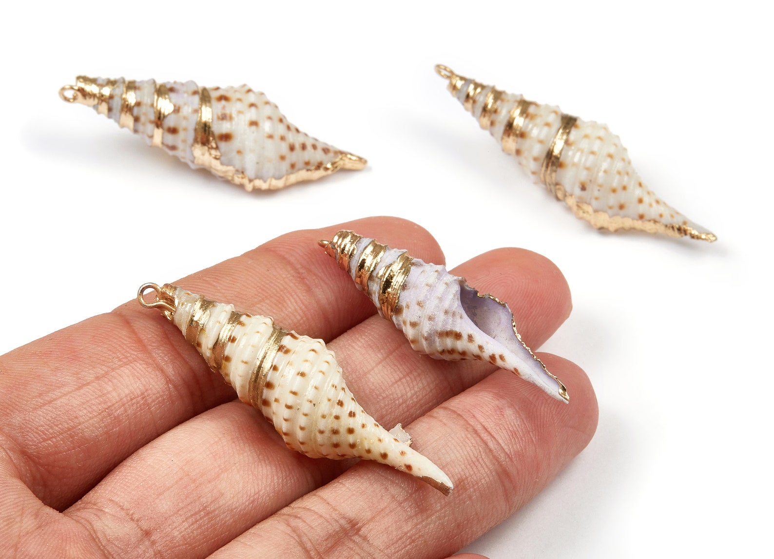 Turritella Terebra Shell Charms - Turritella Terebra Seashell Pendant ...