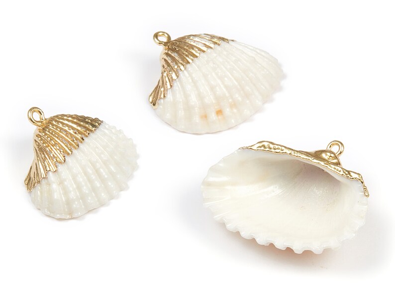 Mussel Shell Charms Seashell Earrings and Pendant Gold - Etsy