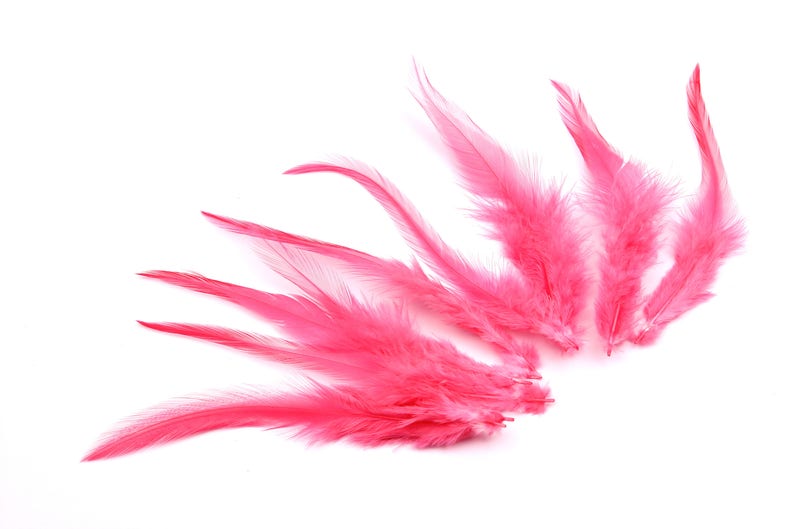 Cock Feather Pink Feather 12-15 Cm Real Feathers for - Etsy