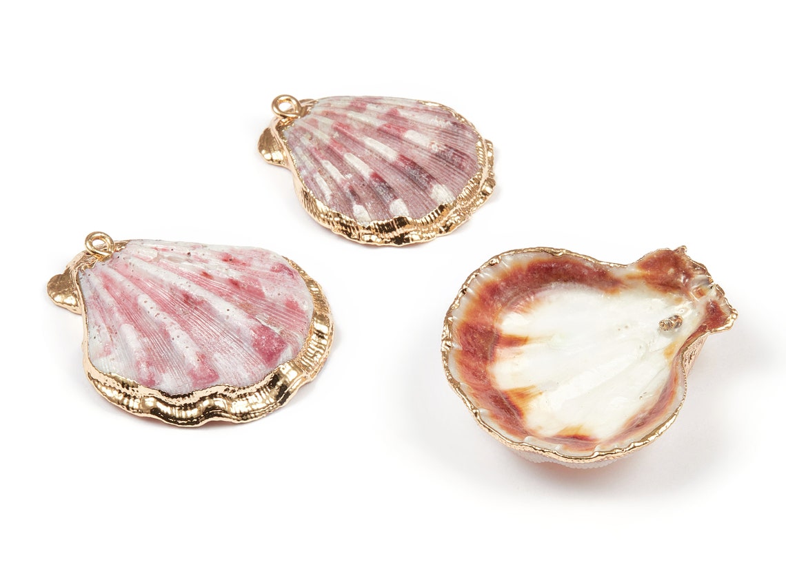 Mussel Shell Charms Seashell Earrings and Pendant Gold - Etsy