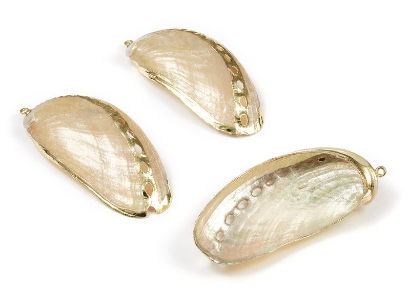 Mussel Shell Charms - Seashell Pendant - Gold Tone Plated Earrings ...